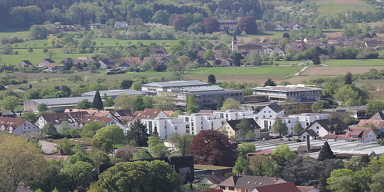 Faust-Gymnasium :: Start :: Staufen